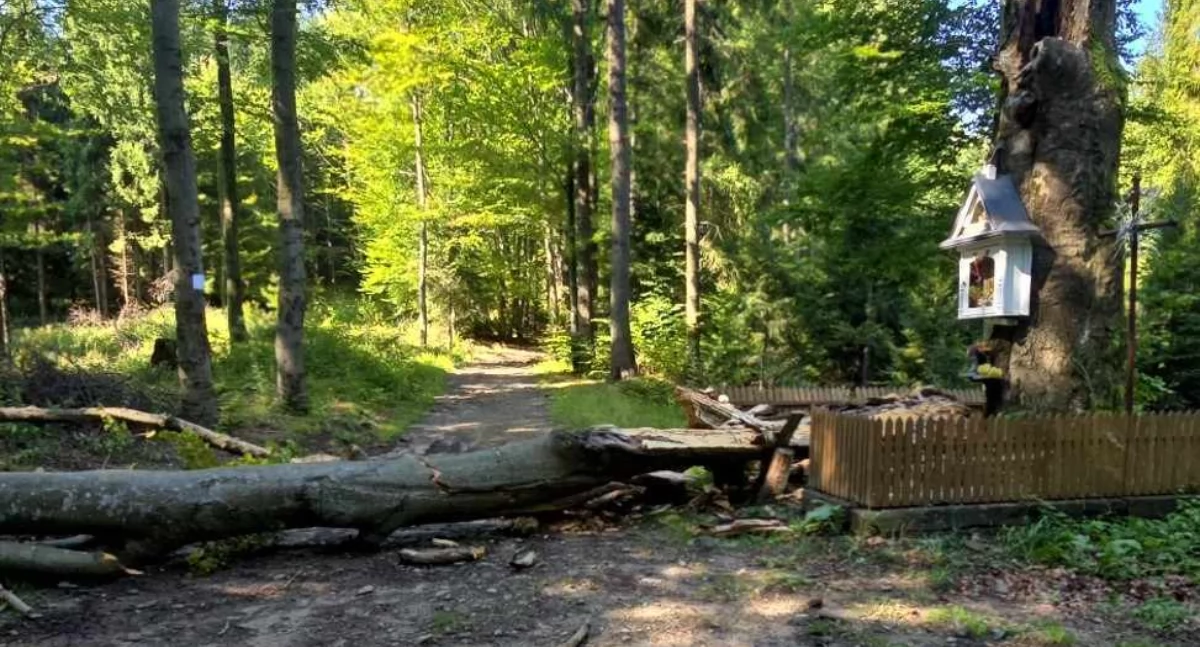 Mogiła konfederatów barskich w Żarnówce - historia oraz pomnik ...