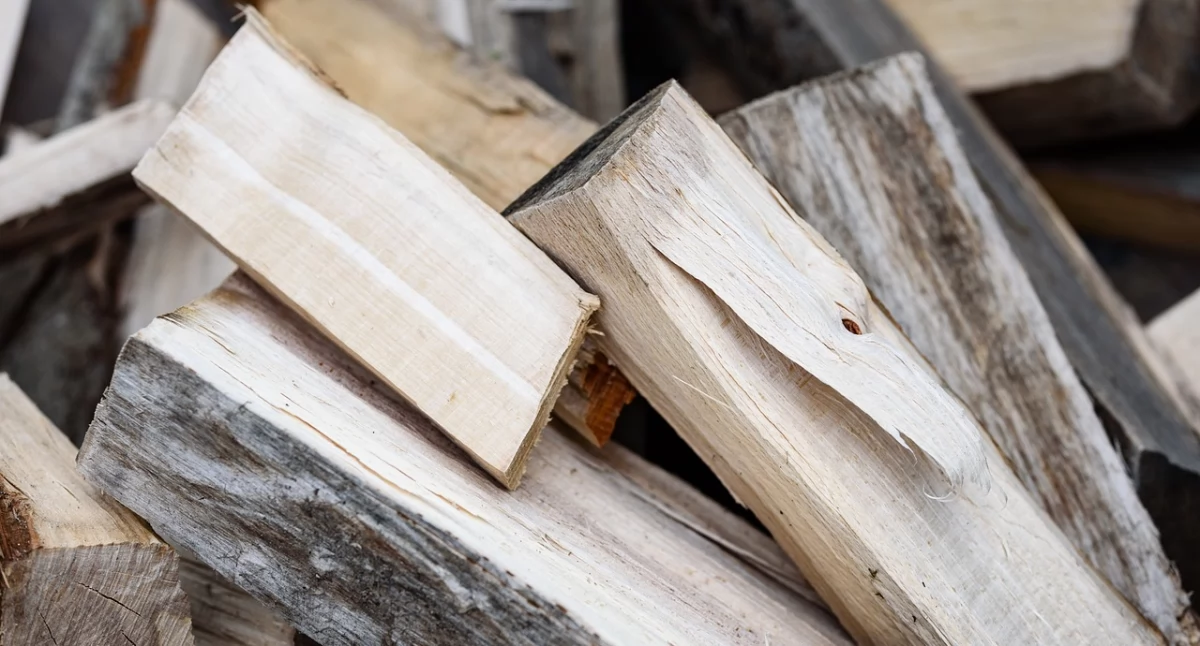 Gnotek - jeśli używasz tego słowa, to wiadomo skąd pochodzisz ...