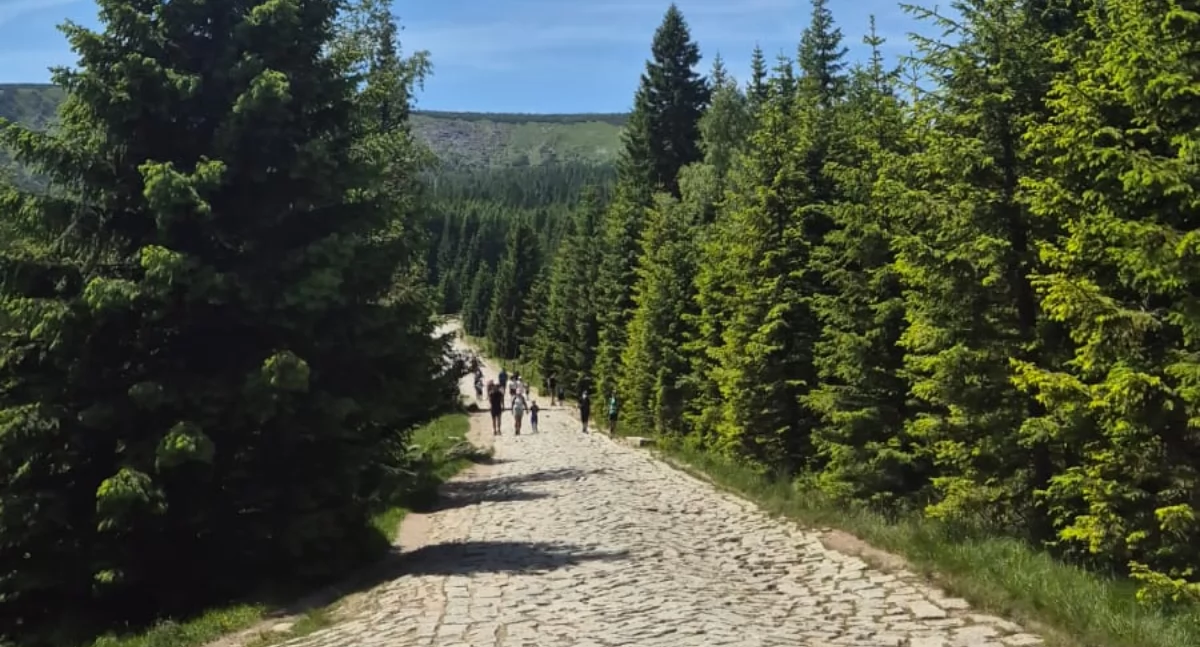 Na wakacyjnych, górskich szlakach – o czym warto pamiętać? - wiadomości Sucha Beskidzka