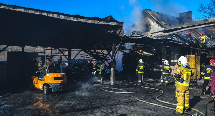 Pożar zakładu drzewnego w Żarnówce